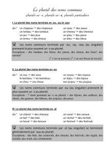 Orthographe CE2 ♦ les pluriels irréguliers des noms communs ~ Cartable ...